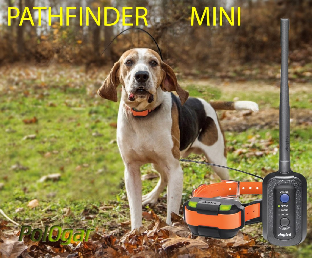 pologar > Dogtra Pathfinder mini GPS dla psa zasięg do 5 km